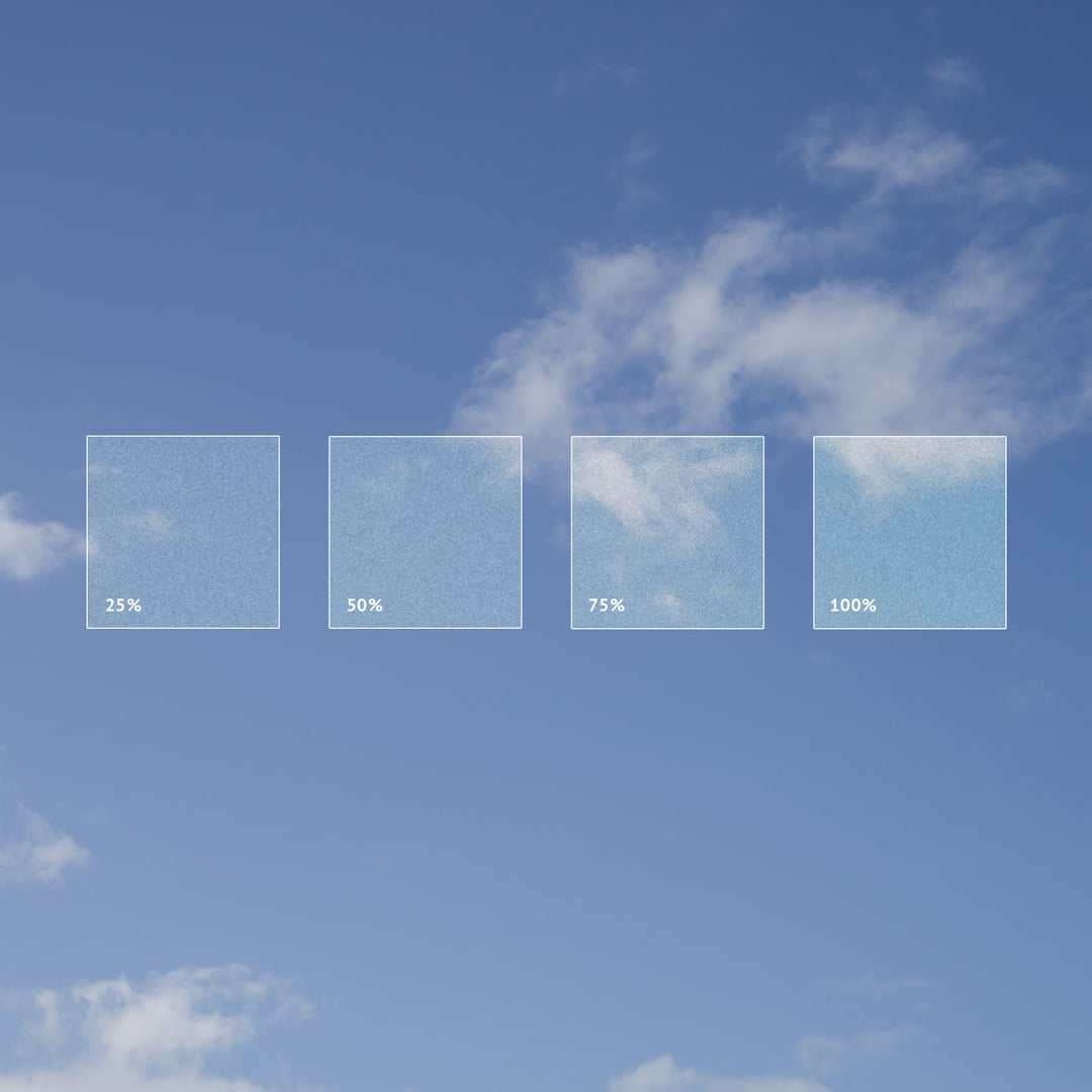 RNI All Films 5 - Demo | Real Film Looks for Capture One